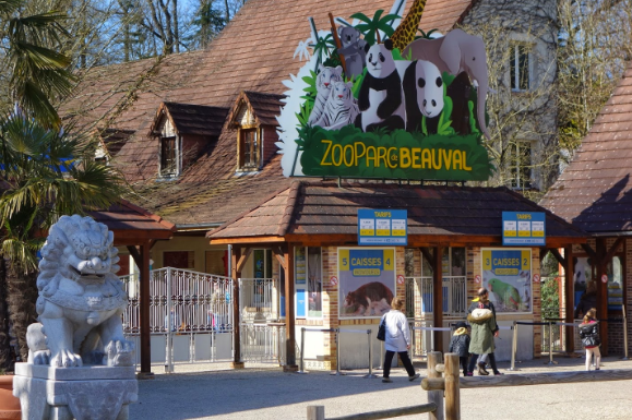 Bien se préparer pour une visite au zoo de Beauval – tourisme ...